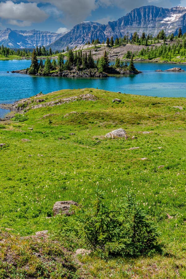 Rock Isle Lake in Sunshine Meadows, Alberta Stock Image - Image of ...
