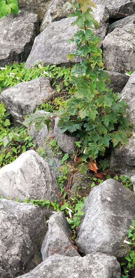 Rocks stock image. Image of scenery, landscape, rocks - 128446527