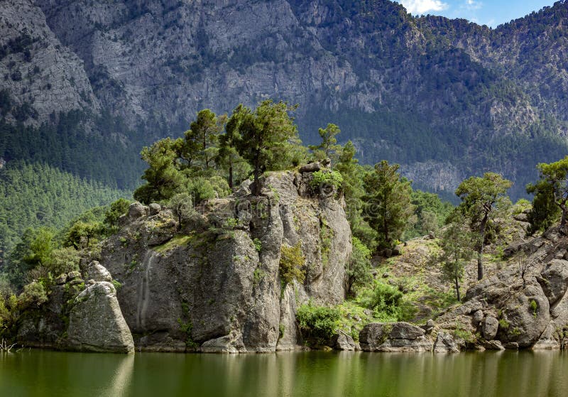 Landscape of turkey stock image. Image of food, hedge - 98977691
