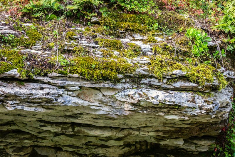 Rock of Layered Stone Overgrown with Grass and Moss Stock Image - Image ...