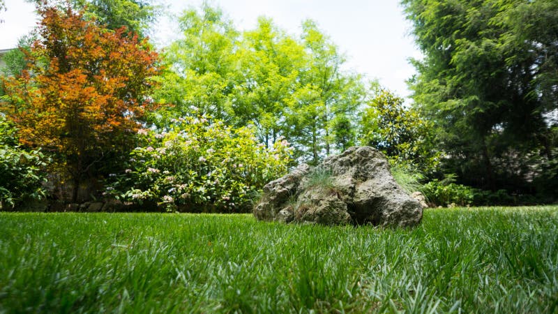 Rock in the grass stock image. Image of tennessee, states - 106235253