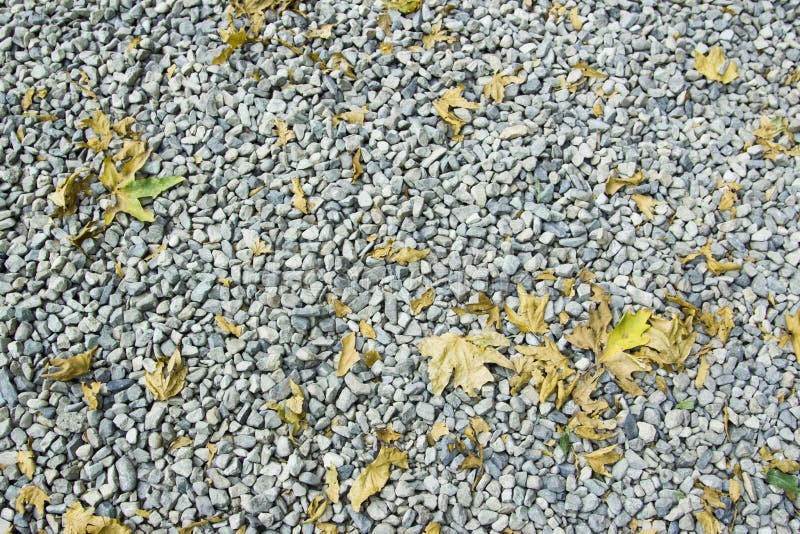 Rock and leaf Texture stock photo. Image of hard, simplicity - 48132610