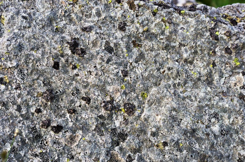 Rock stock photo. Image of damp, close, dirty, design - 56324858