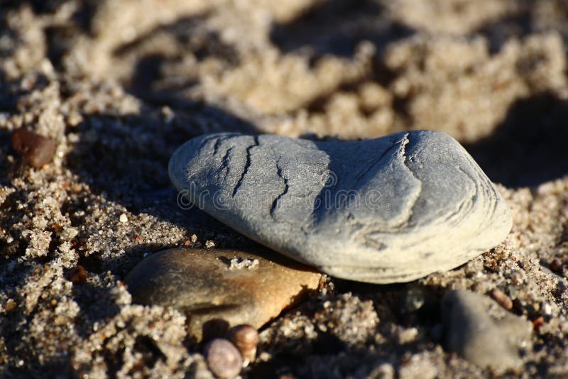 Rock in Low Angle Evening Sunlight at the Beach of the Baltic Sea Stock ...