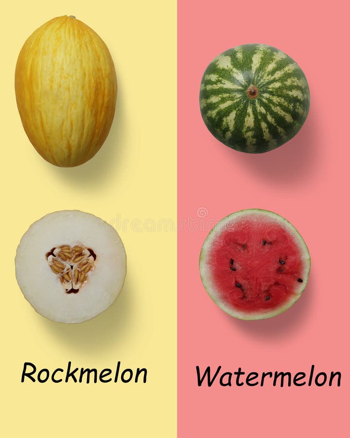 Rock Melon Half and Watermelon Stock Photo - Image of juicy, green ...