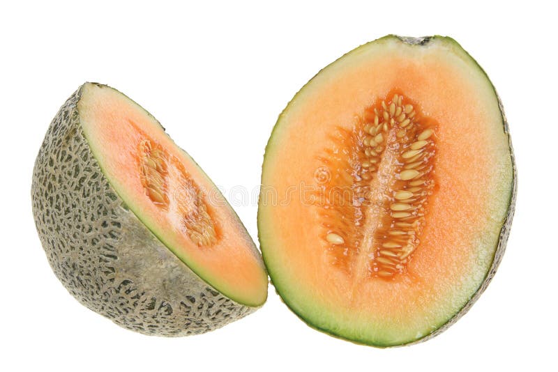 Rock melon stock photo. Image of cucumis, pome, pulp - 17530808