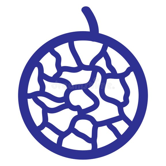 Rock Melon. Vector Illustration Decorative Design Stock Illustration ...