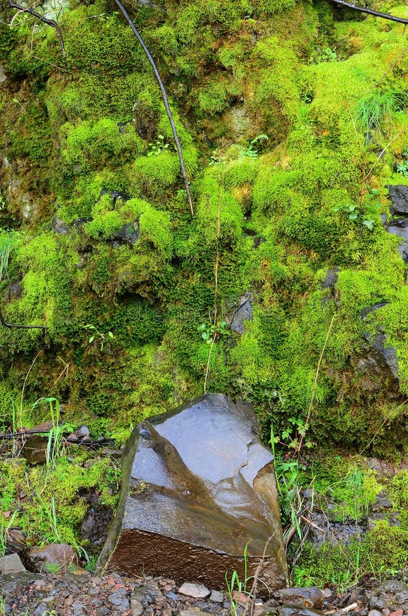 Rock with moss stock image. Image of spain, avila, winter - 9232869