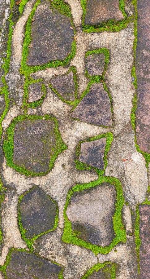 Rock with moss floor stock photo. Image of close, backgroud - 337479320