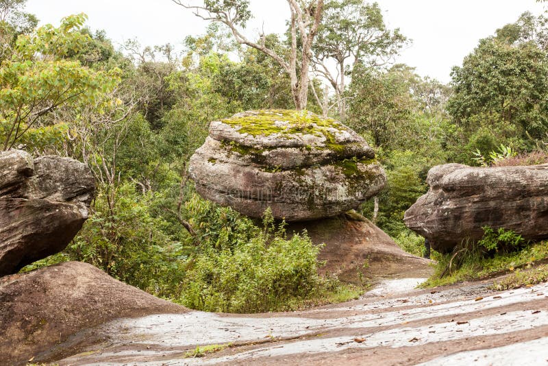 Rock in the mountain stock photo. Image of rocks, national - 61212502