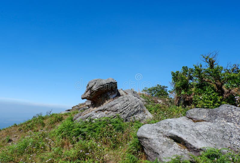Rock on Mountain stock photo. Image of nice, grass, nature - 84001566