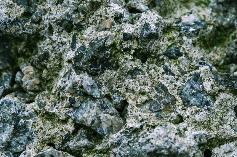 Rock. Natural Background. a Stone Wall with a Close-up of Green Moss ...