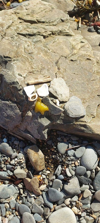 Rock nature wood stock image. Image of wall, plant, wood - 230516175