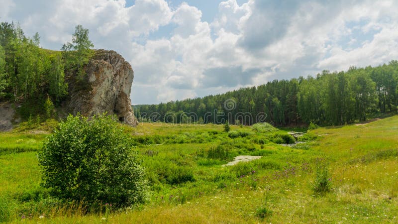Rock Near a Stream in a Sunny Summer Day Stock Image - Image of trees ...