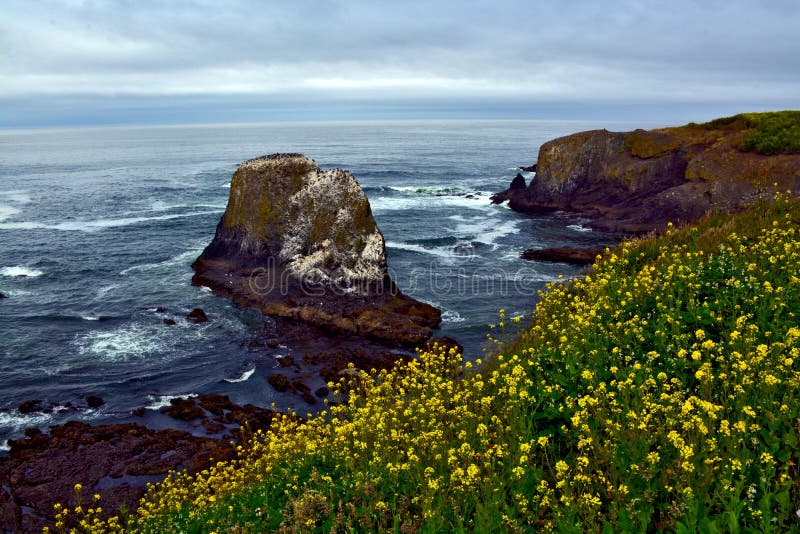 Oregon Beach with Rocks and Trees Stock Image - Image of nature, waves ...