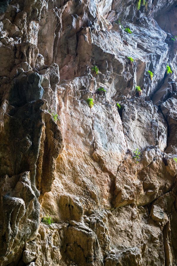 Rock in Osp, Slovenia stock image. Image of wall, rough - 71914699