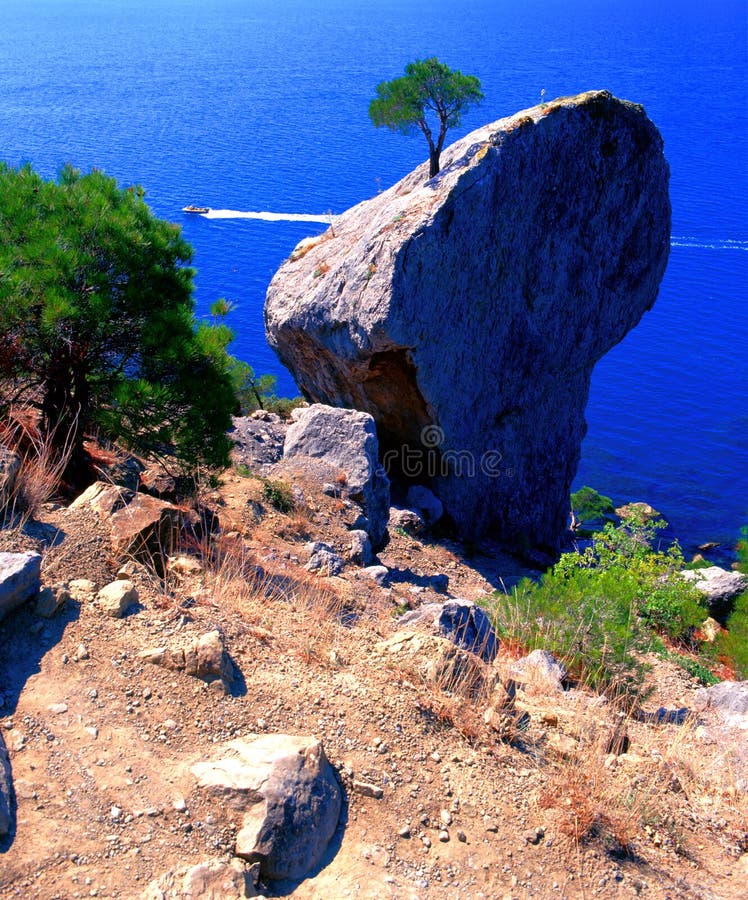 Rock over sea stock image. Image of landscape, green, mediumformat ...