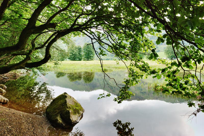 Rock and Overhanging Tree by Lake Stock Photo - Image of green, river ...