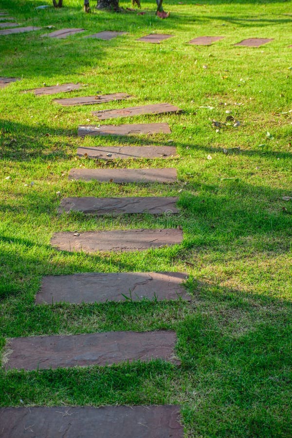 Rock Path stock photo. Image of beauty, nature, garden - 43598730