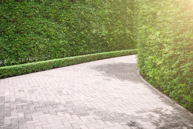 Rock Path and Plant Wall Vertical Garden Stock Image - Image of ...