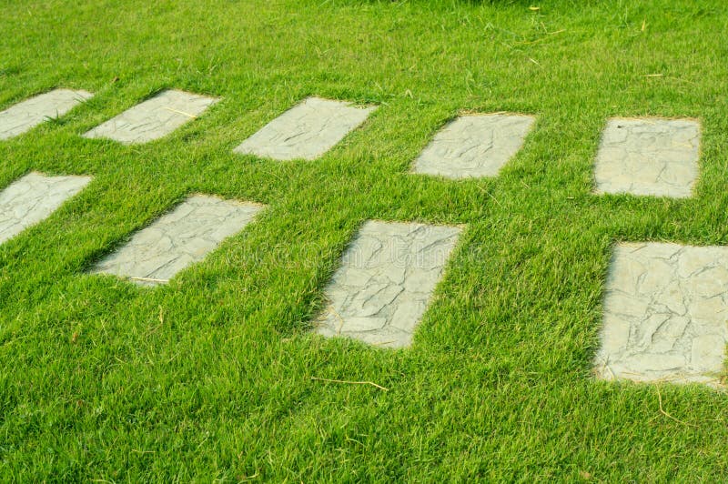 Rock Pathway on Green Grass Stock Image - Image of plant, park: 208056207
