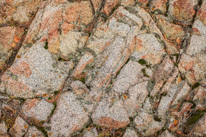 Rock Pattern Texture Background. Big Stones in Forest Top View Stock ...