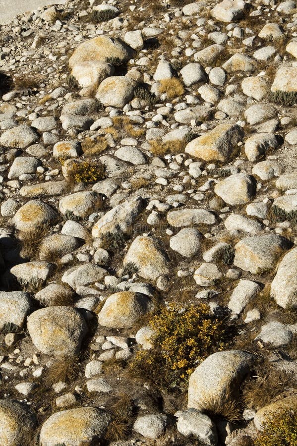 Rock patterns stock photo. Image of weathered, rock, weeds - 8145524