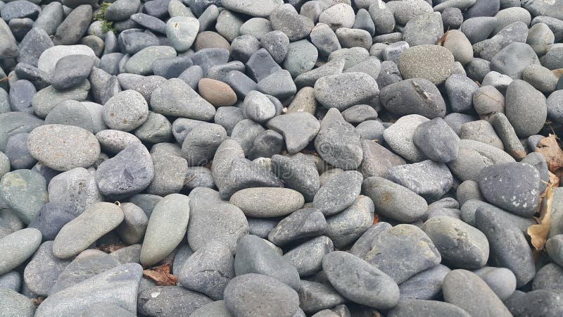 Rock Pebbles, Small, Rounded, Smooth Rocks. Texture Background for Text ...