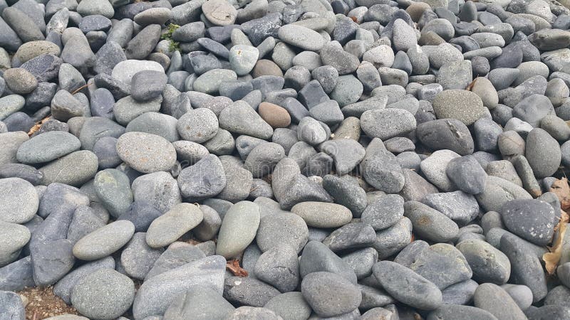 Rock Pebbles, Small, Rounded, Smooth Rocks. Texture Background for Text ...