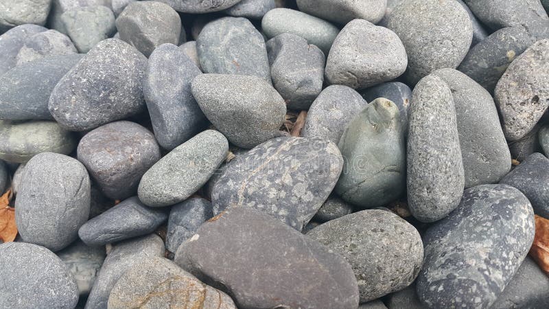 Rock Pebbles, Small, Rounded, Smooth Rocks. Texture Background for Text ...