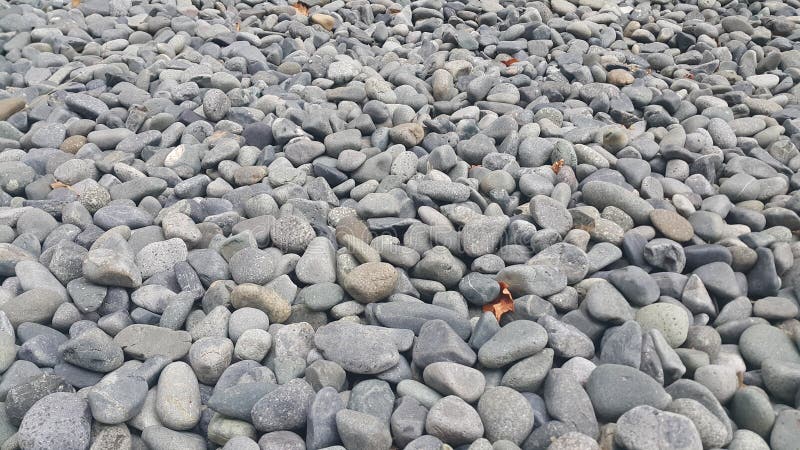 Rock Pebbles, Small, Rounded, Smooth Rocks. Texture Background for Text ...