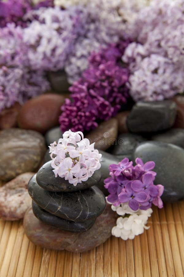 Rock pile with flowers stock photo. Image of pamper, luxury - 14537042