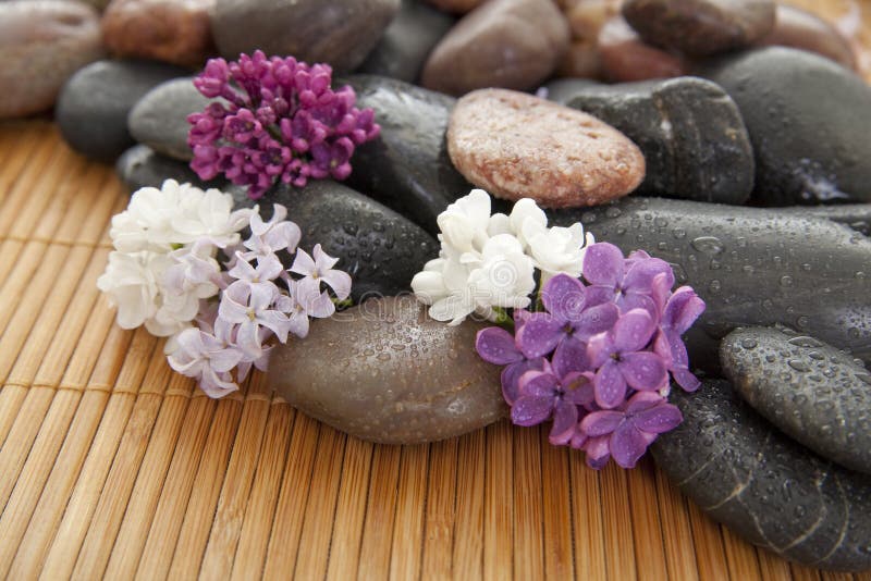 Rock pile with flowers stock image. Image of healthy - 14634509