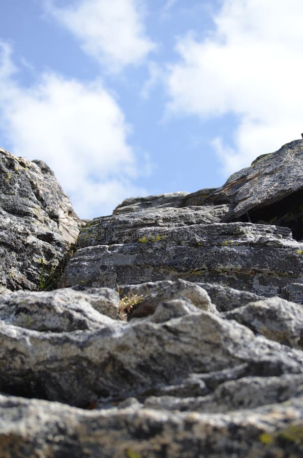 Rock and Plant stock image. Image of colorado, geology - 78178081