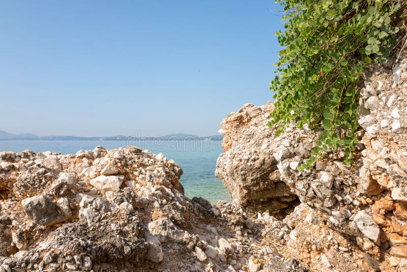 Rock Plants in Glyfa on Corfu, Greece. Stock Photo - Image of ecology ...