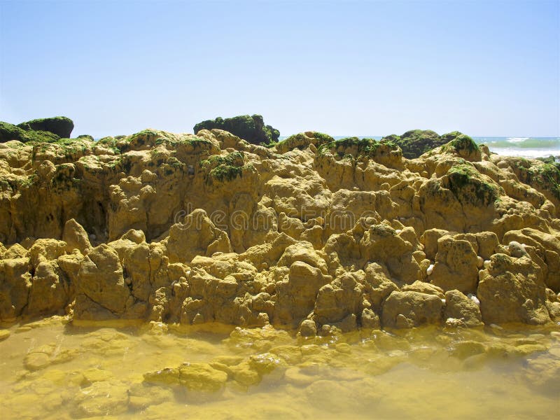 Rock pool at the beach stock photo. Image of texture - 196970136