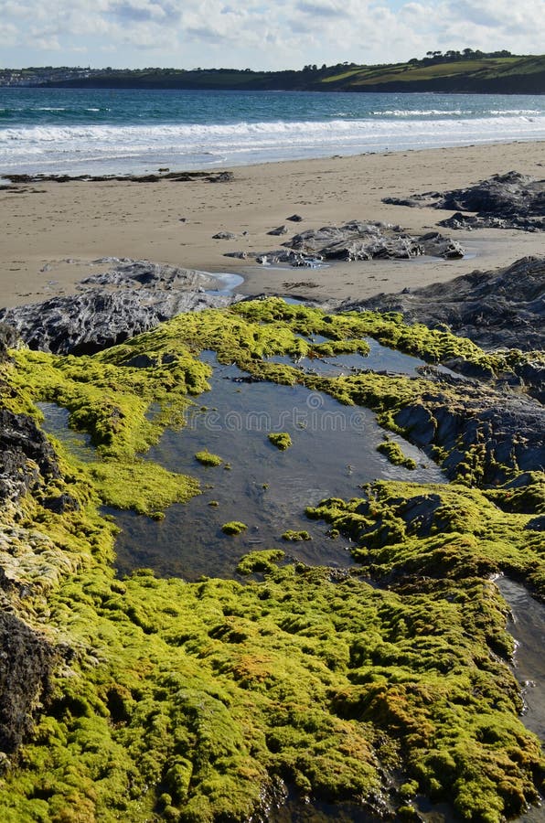 Rock Pool on a Cornish Beach. Stock Image - Image of sandy, rock: 56344329