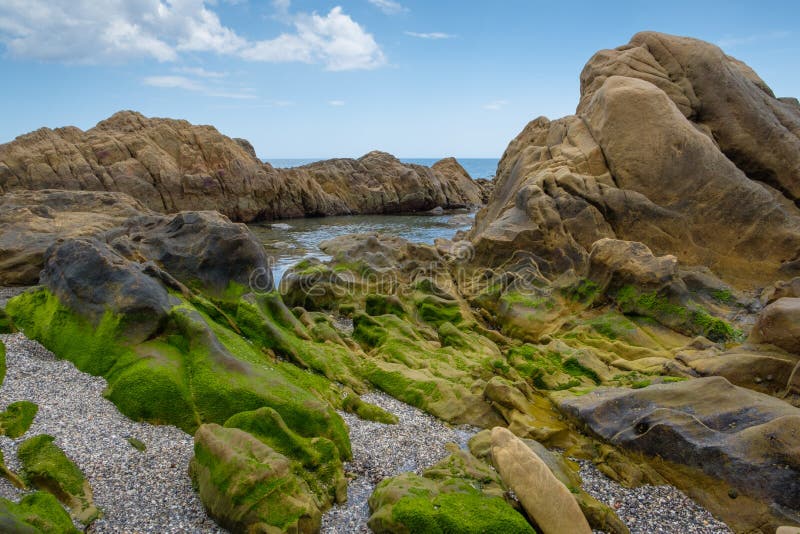 Rock pool. stock image. Image of natural, beach, rock - 101643643