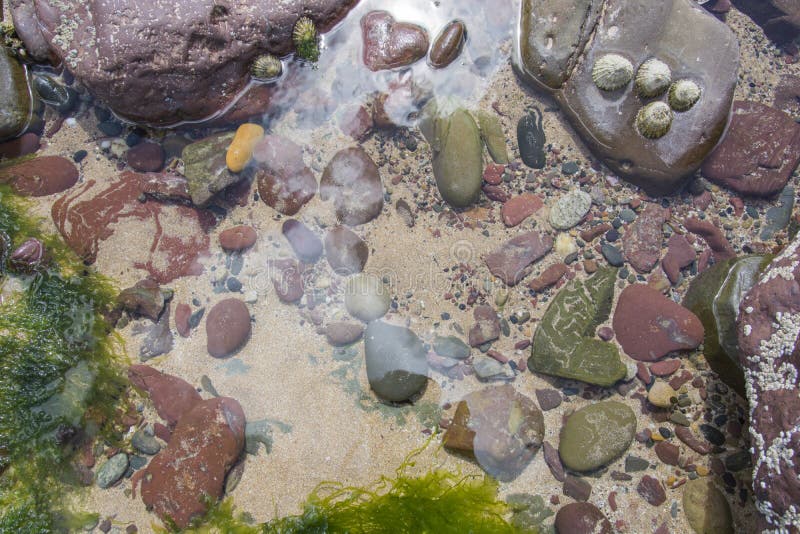 Rock Pool stock photo. Image of detail, smooth, beach - 125686640