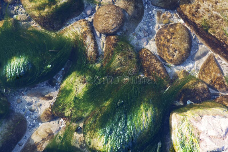 Ebbing Tide in Taiwan North Coast Stock Photo - Image of panoramic ...