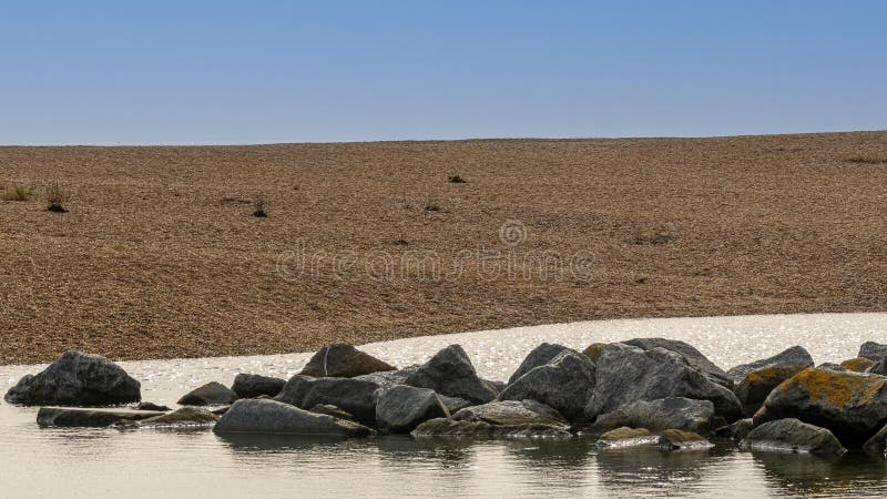 Rock Pool on a Pebble Beach Stock Image - Image of coastline, slime ...