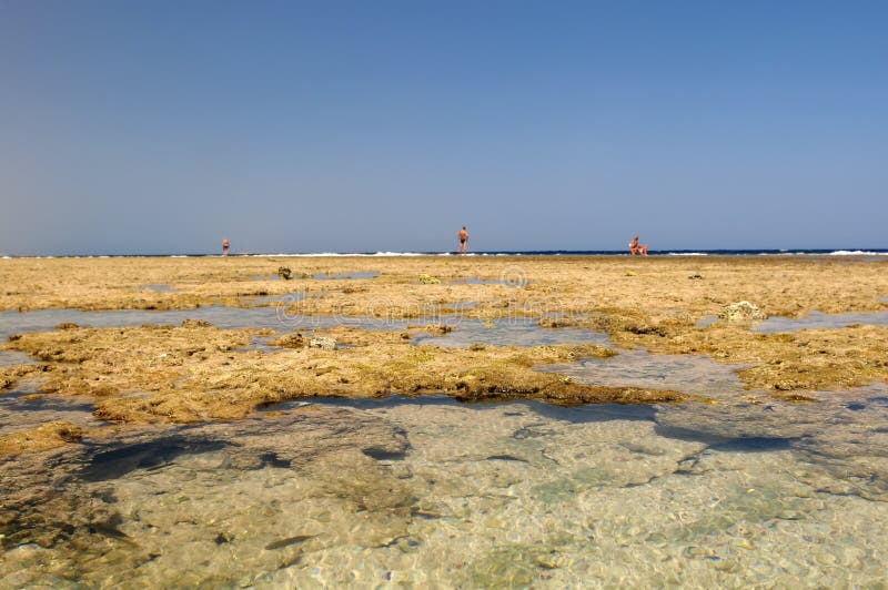 Rock pools on beach stock photo. Image of coast, outdoor - 6646486