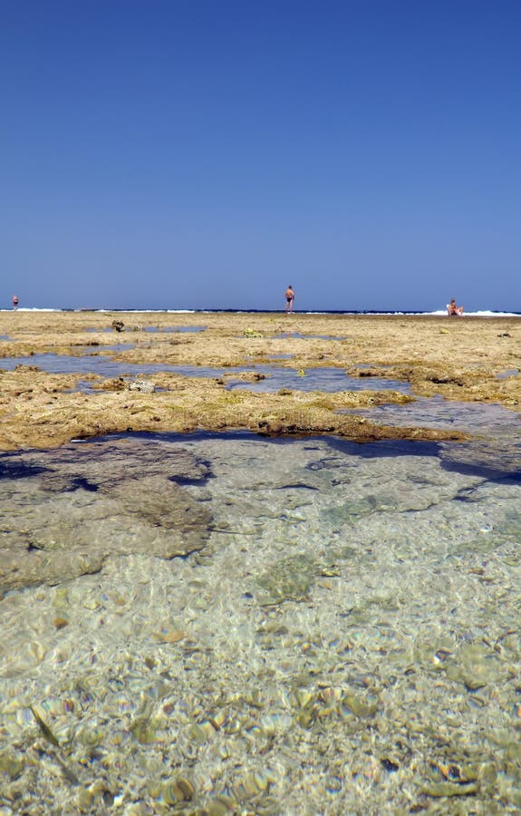 Rock Pools stock photo. Image of horizon, shore, sealife - 49031574