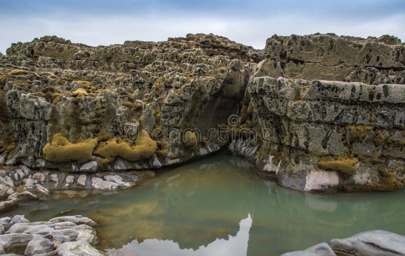 Rock pools and cliffs stock photo. Image of rock, gull - 68590608
