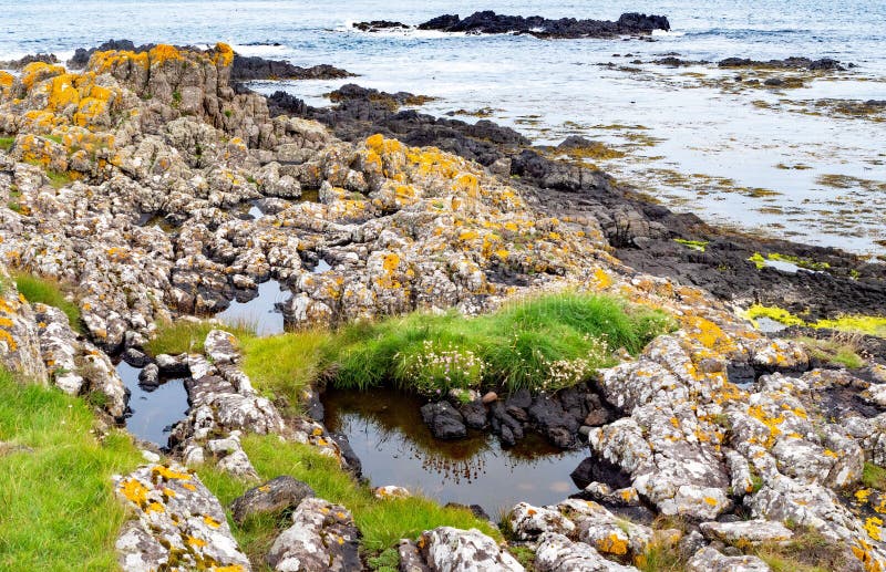 Rock Pools on the Foreshore Stock Photo - Image of scottish, seashore ...