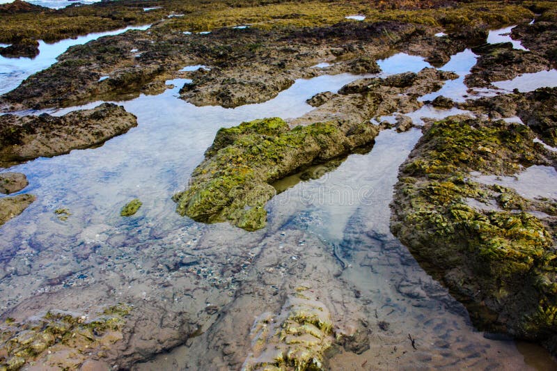 Rock Pools at Low Tide at Corindi Beach Stock Photo - Image of corindi ...