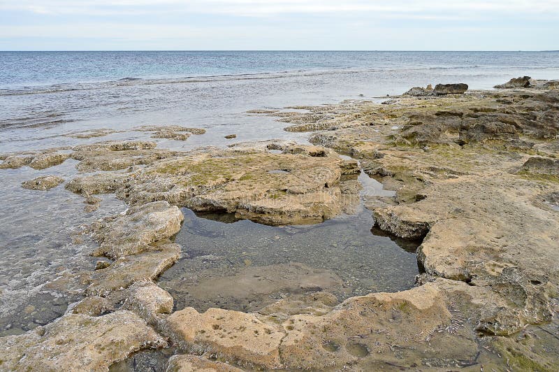Rock Pools stock photo. Image of horizon, shore, sealife - 49031574