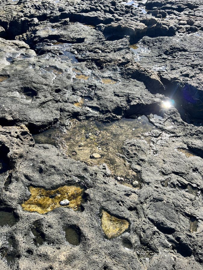 Rock Pools stock image. Image of environment, coastline - 301871909
