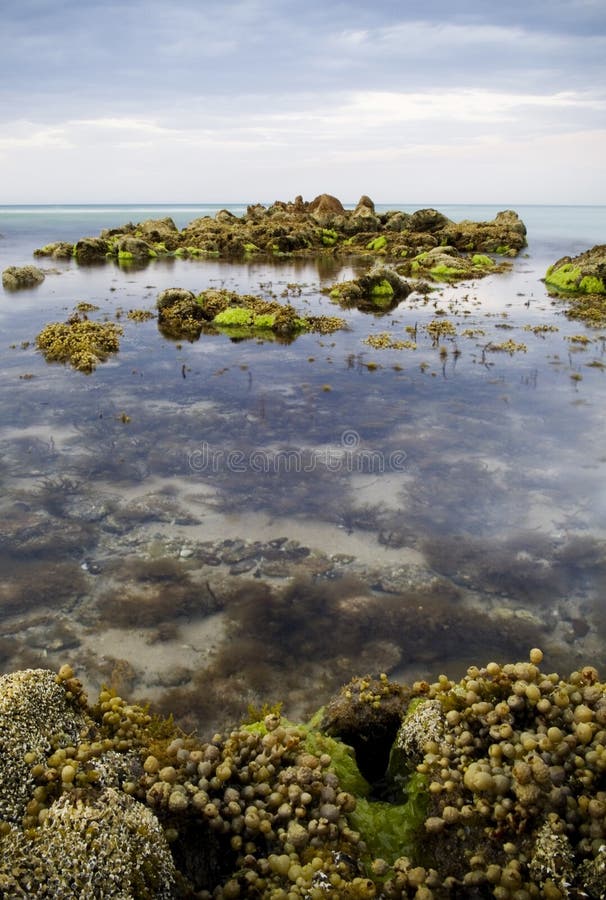 Rock Pools with Time-lapse Water Stock Photo - Image of mornington ...