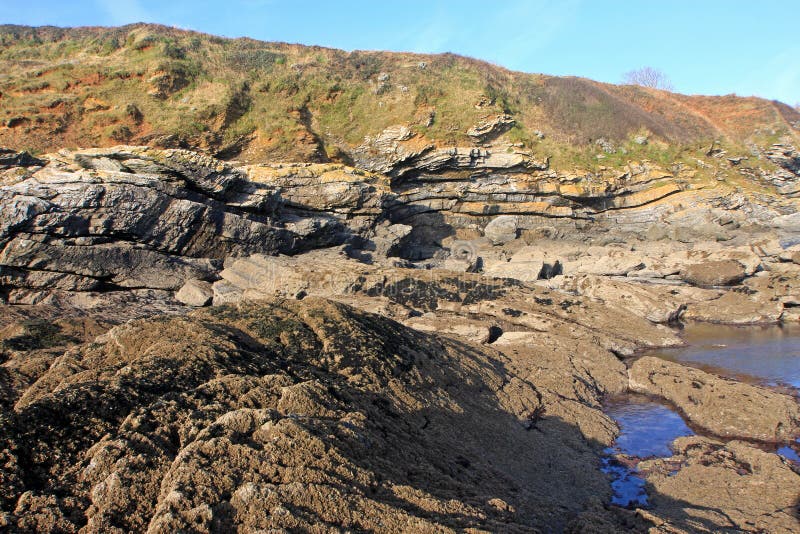 Rock pools stock image. Image of weather, torbay, beach - 36890085